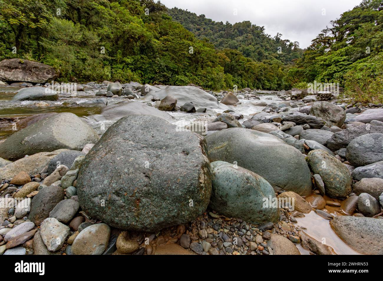 The Orosi River, Tapanti - Cerro de la Muerte Massif National Park ...