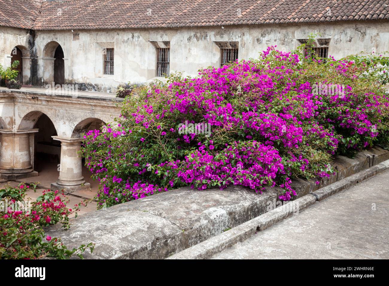 Antigua guatemala capuchinas convent built 1736 hi-res stock photography and images - Alamy