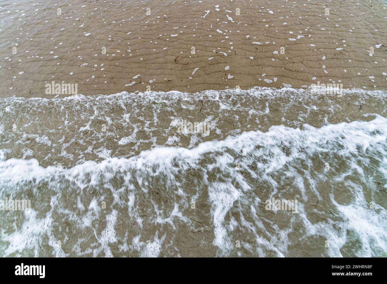 Natural background with algae in sea water on a beach Stock Photo - Alamy