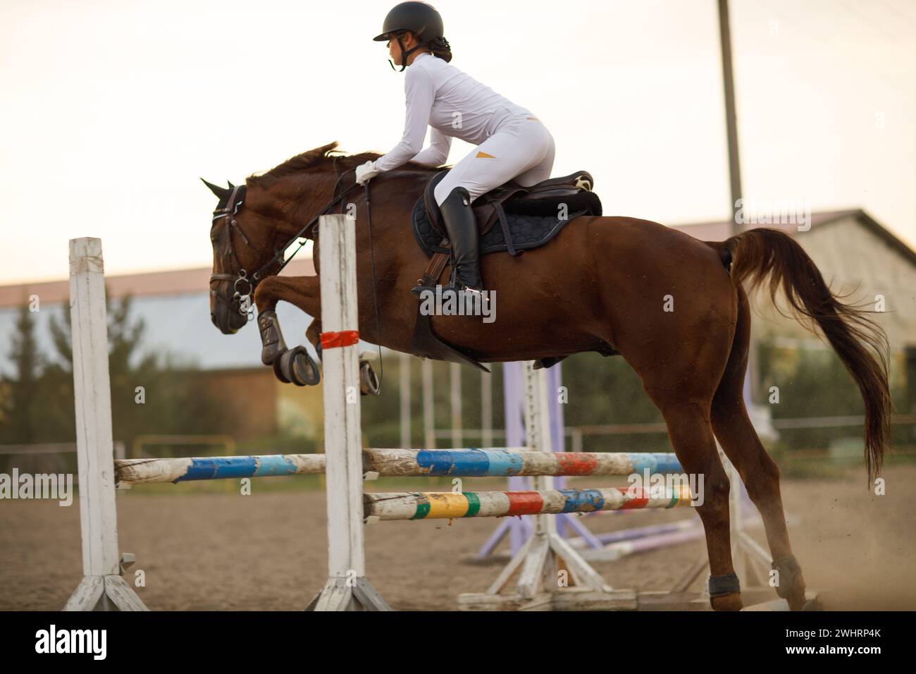 Dressage equestrian hi-res stock photography and images - Alamy