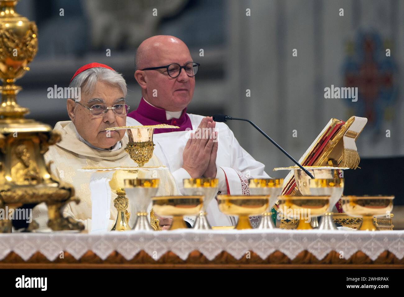 Italy, Rome, Vatican, 2024/2/11.Pope Francis celebrates a Holy Mass for ...