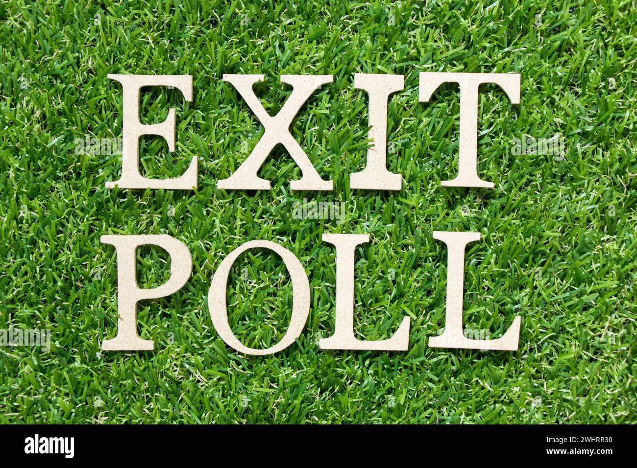 Wood letter in word exit poll on green grass background Stock Photo - Alamy