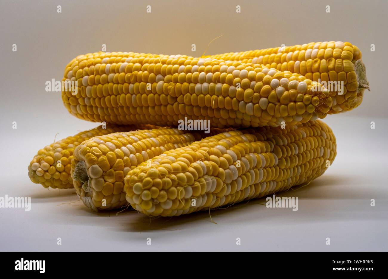 Table Top View of Corn on the Cob, With a White Background, Sitting on ...