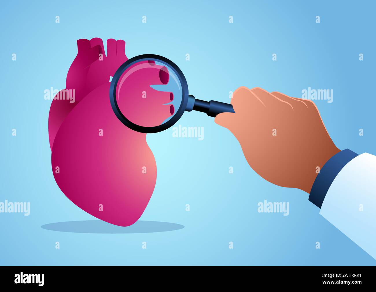 Vector Illustrations Of A Doctors Hand Analyzing A Human Heart With
