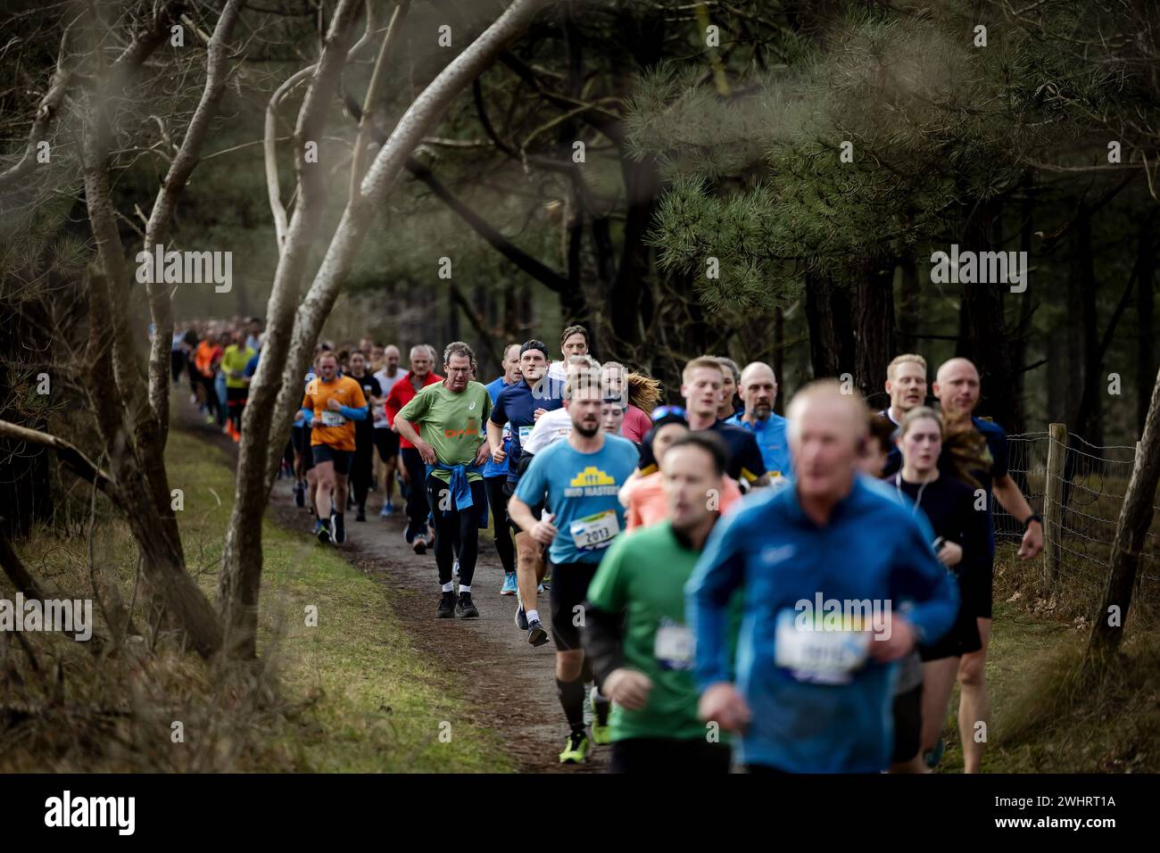 BERGEN - Recreationalists in action during Greetings from Schoorl Run ...