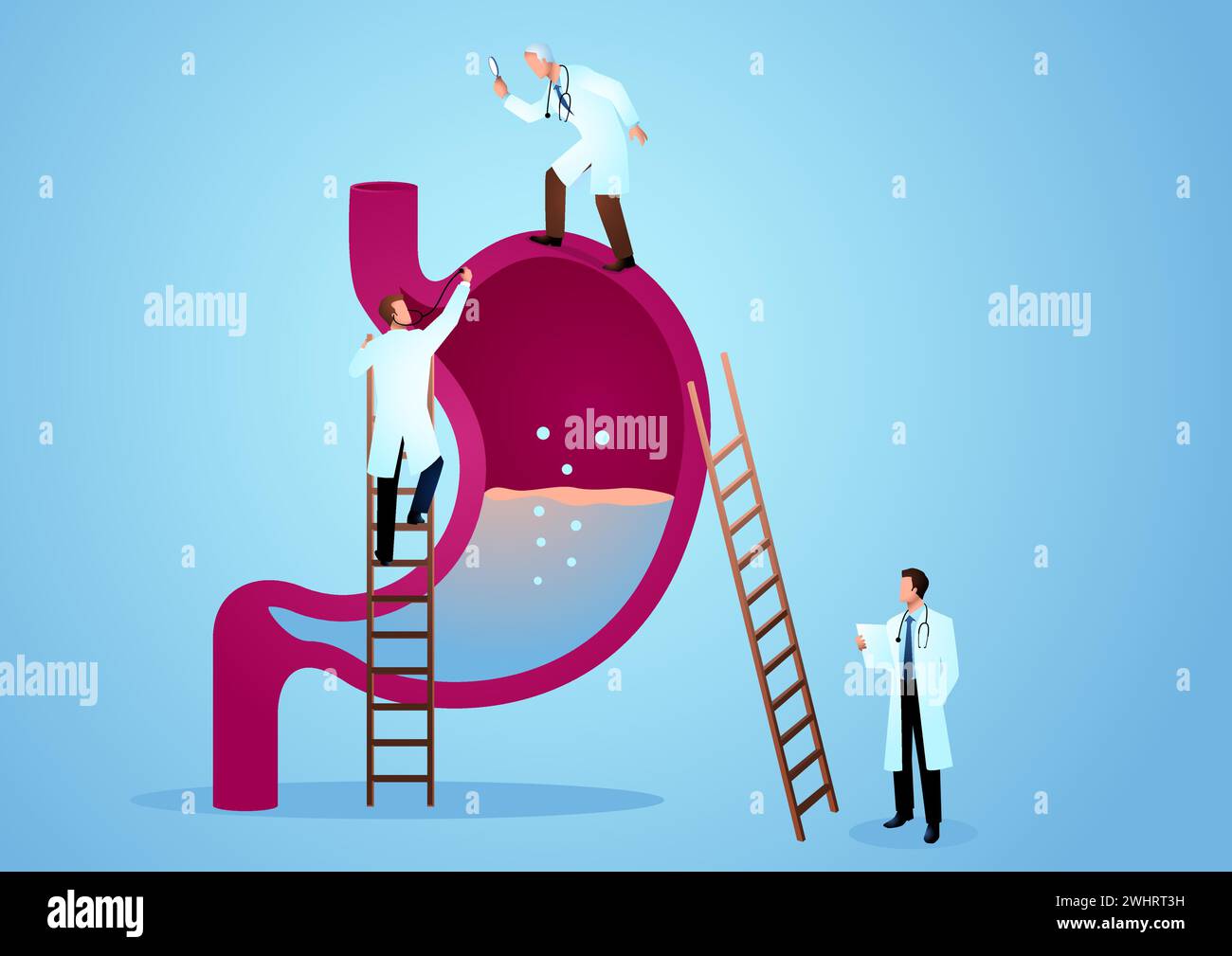 Vector graphic illustration of team of doctors diagnose human stomach ...