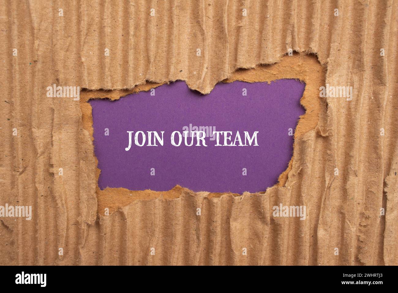 Join our team words written on torn cardboard paper with purple ...