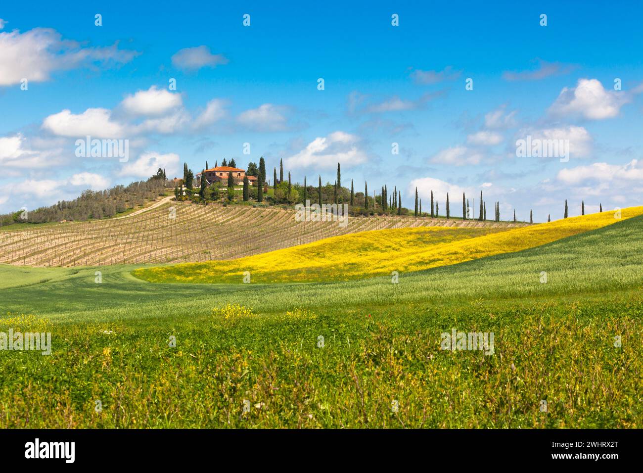 Farmhouse green grass hi-res stock photography and images - Alamy