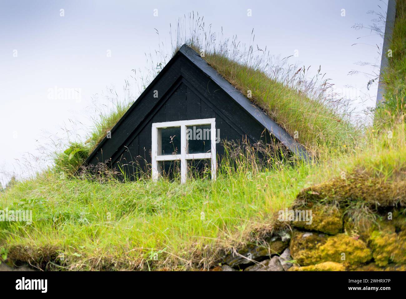 Overgrown cabin hi-res stock photography and images - Alamy