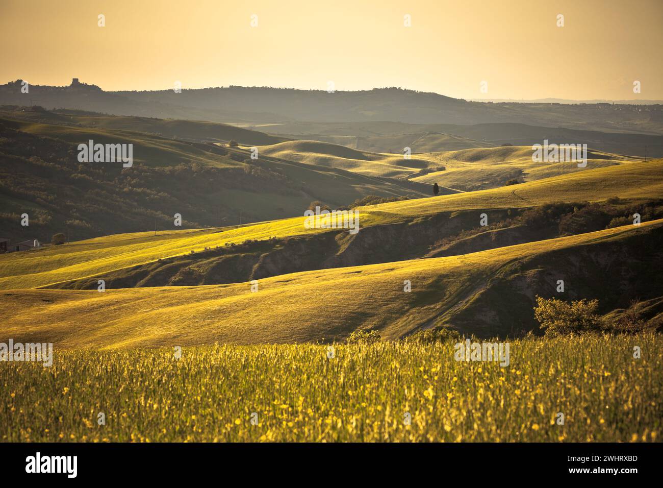 Vibrant gold sunset hi-res stock photography and images - Alamy