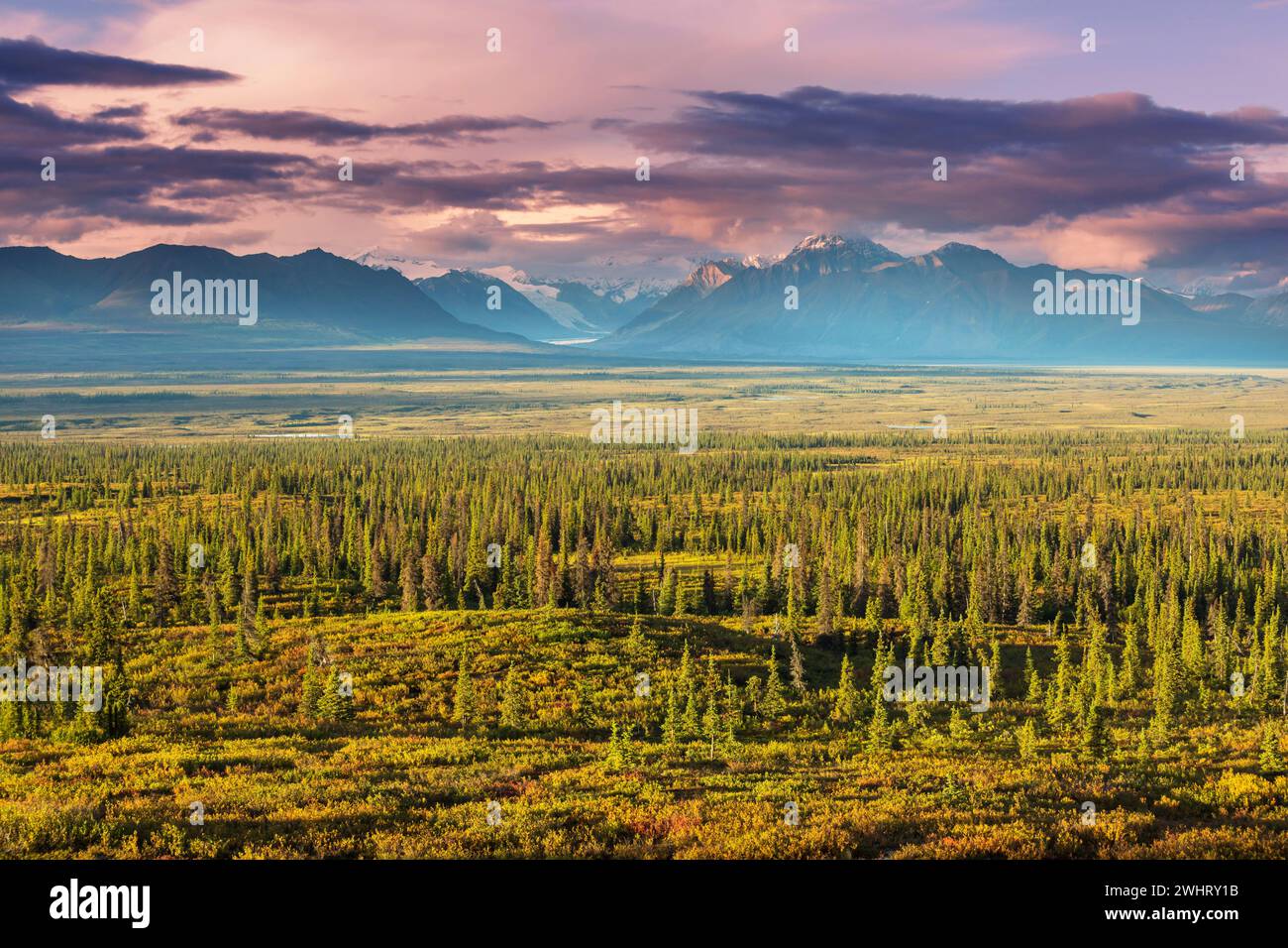 Hike in the fantastic landscape of Alaska, USA Stock Photo - Alamy