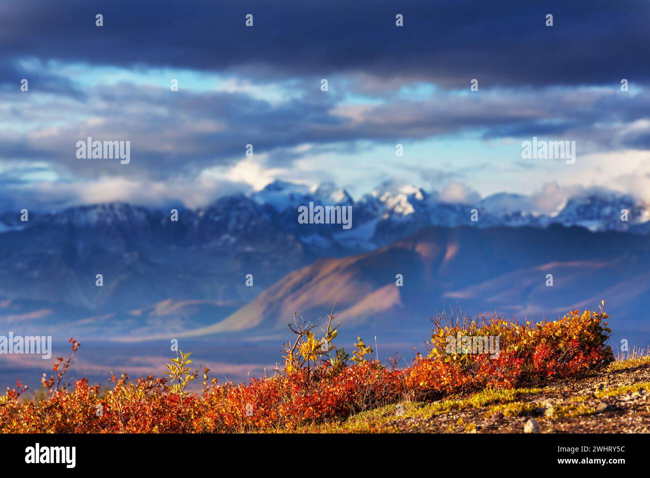 Hike in the fantastic landscape of Alaska, USA Stock Photo - Alamy