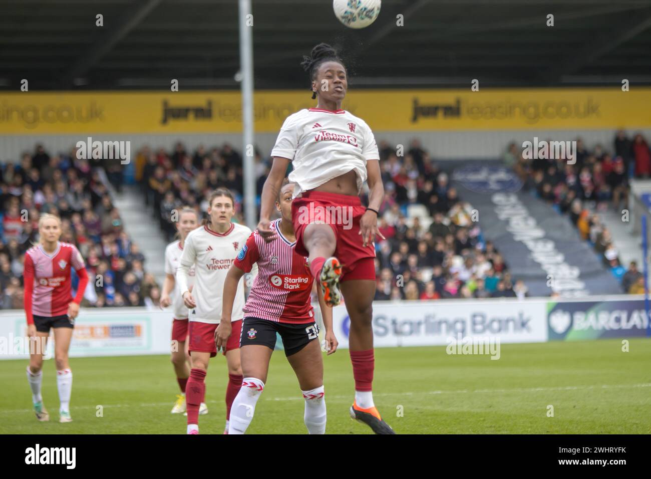 Melvine malard action hi-res stock photography and images - Alamy