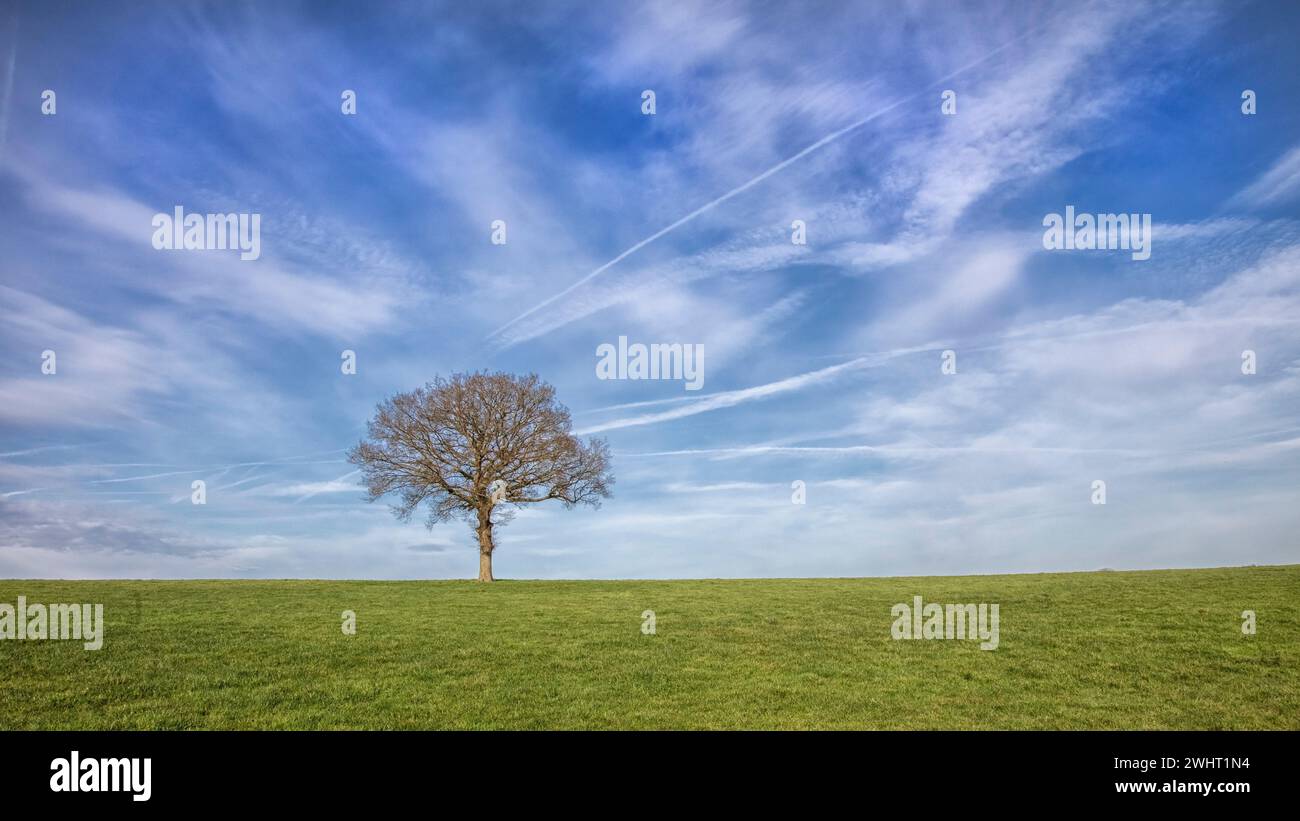 Paths on hillside hi-res stock photography and images - Alamy