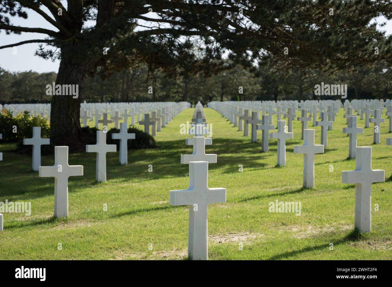 Detail of the multitude of white crosses at the Normandy American Cemetery Stock Photo - Alamy