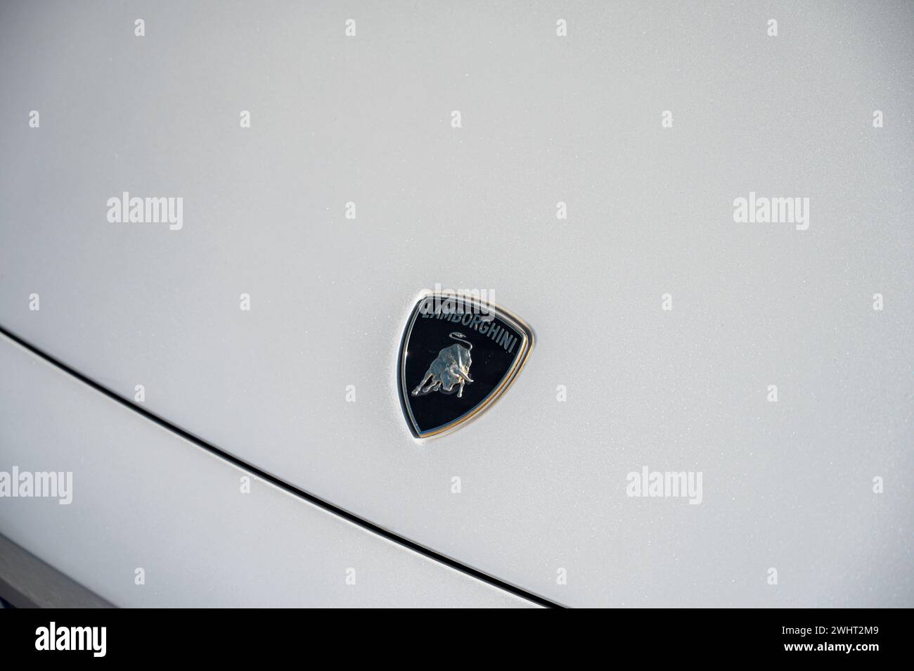 Detail of the front logo of the Lamborghini Gallardo hood Stock Photo ...