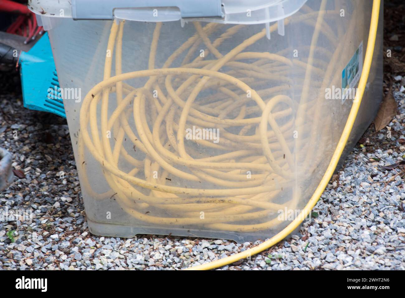 Electric cable for plugging devices with power Stock Photo - Alamy