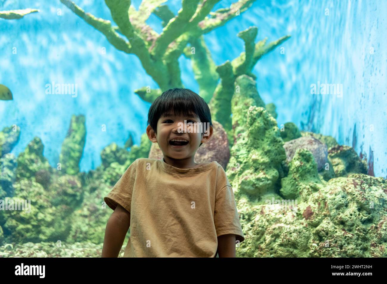 Asian boy standing pointing at aquarium background Stock Photo - Alamy