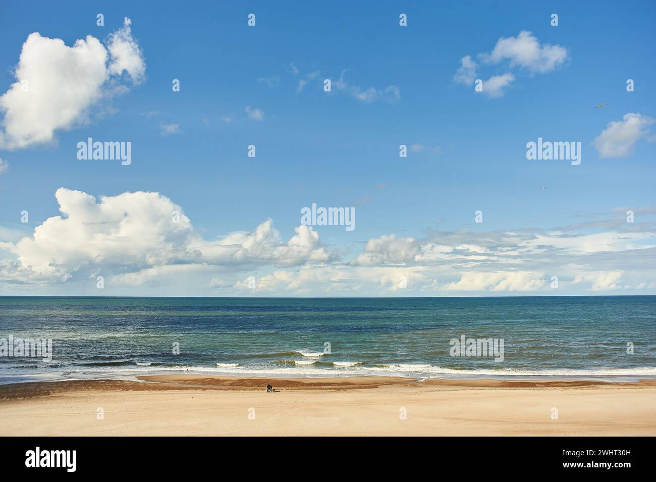 Wide coast hi-res stock photography and images - Alamy
