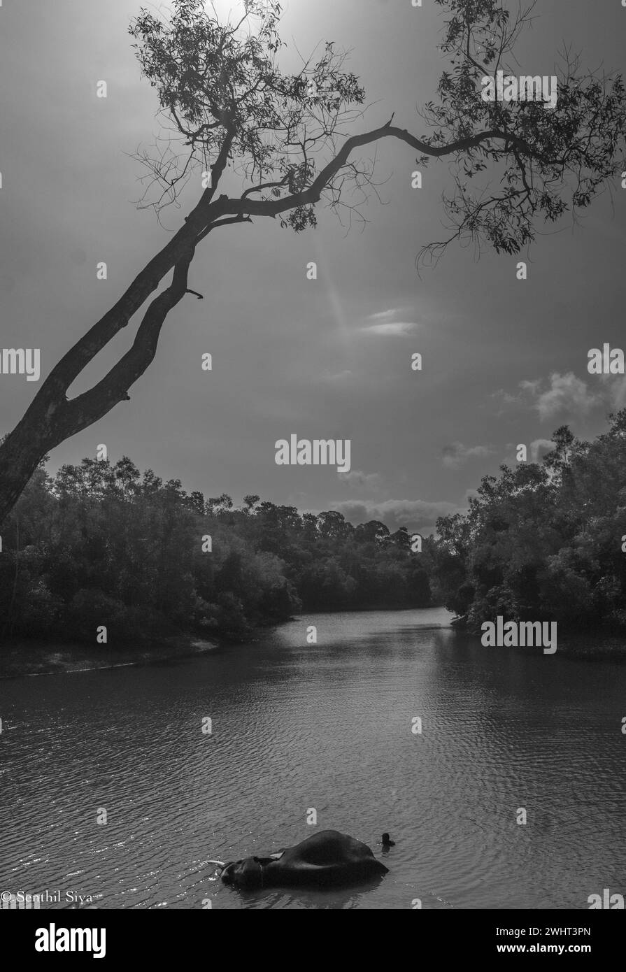 Heat wave heat Black and White Stock Photos & Images - Alamy