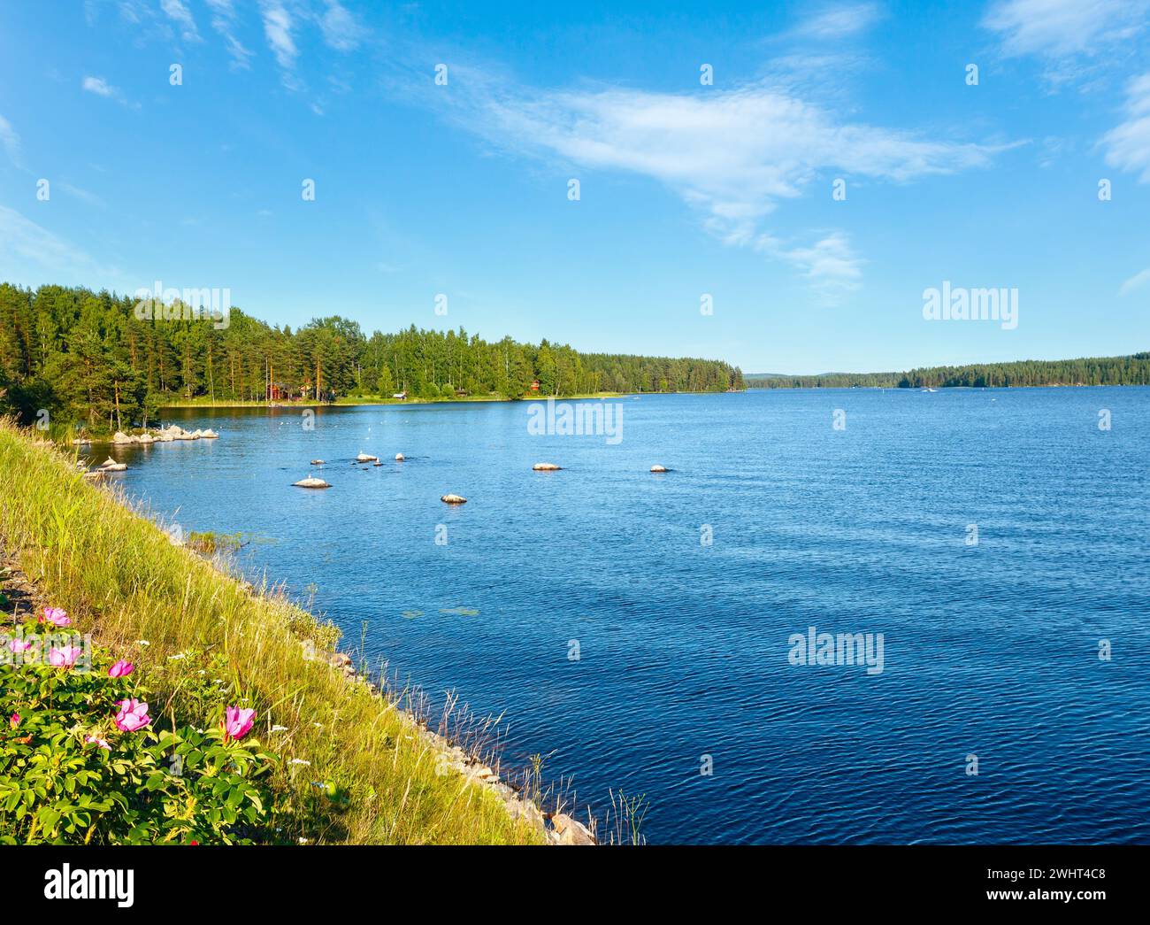 Lake summer view (Finland Stock Photo - Alamy