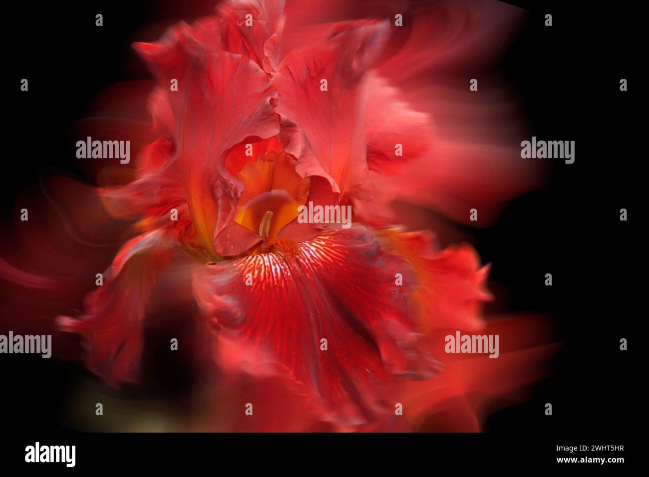 Striking technique hi-res stock photography and images - Alamy