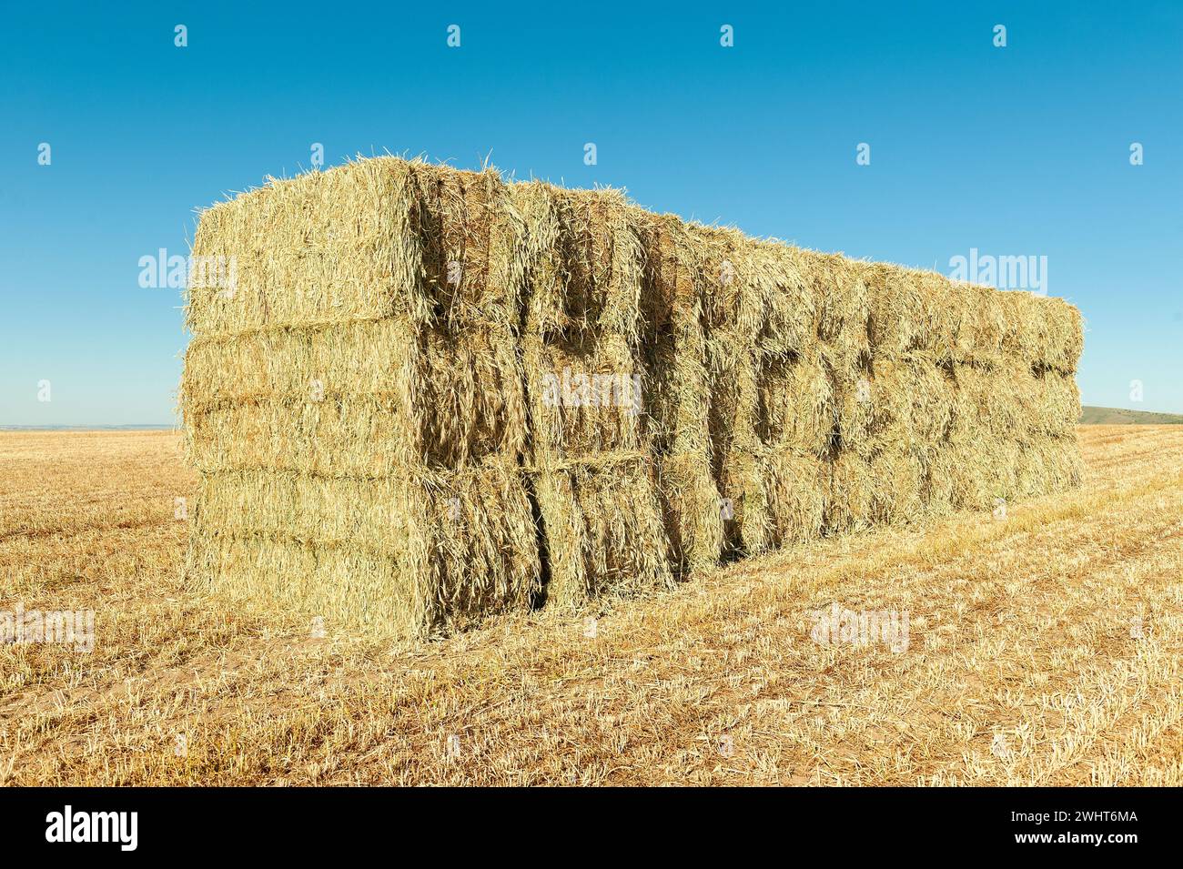 Ganado industrial hi-res stock photography and images - Alamy