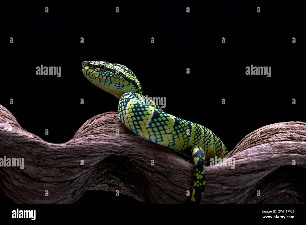 Dark pit hi-res stock photography and images - Alamy
