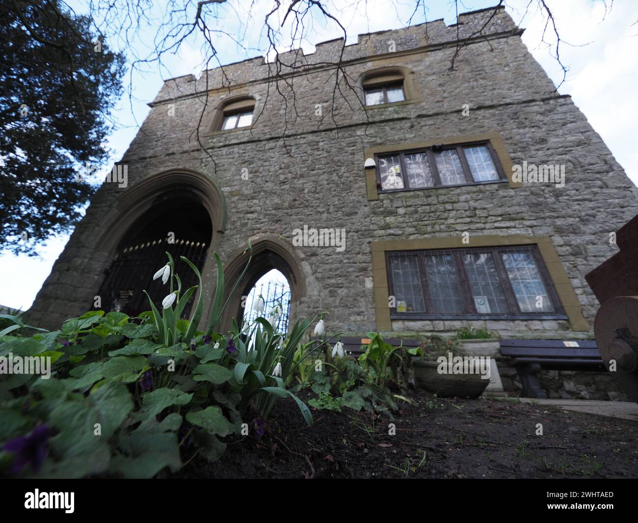 Minster on Sea, Kent, UK. 11th Feb, 2024. UK Weather: snowdrops seen ...