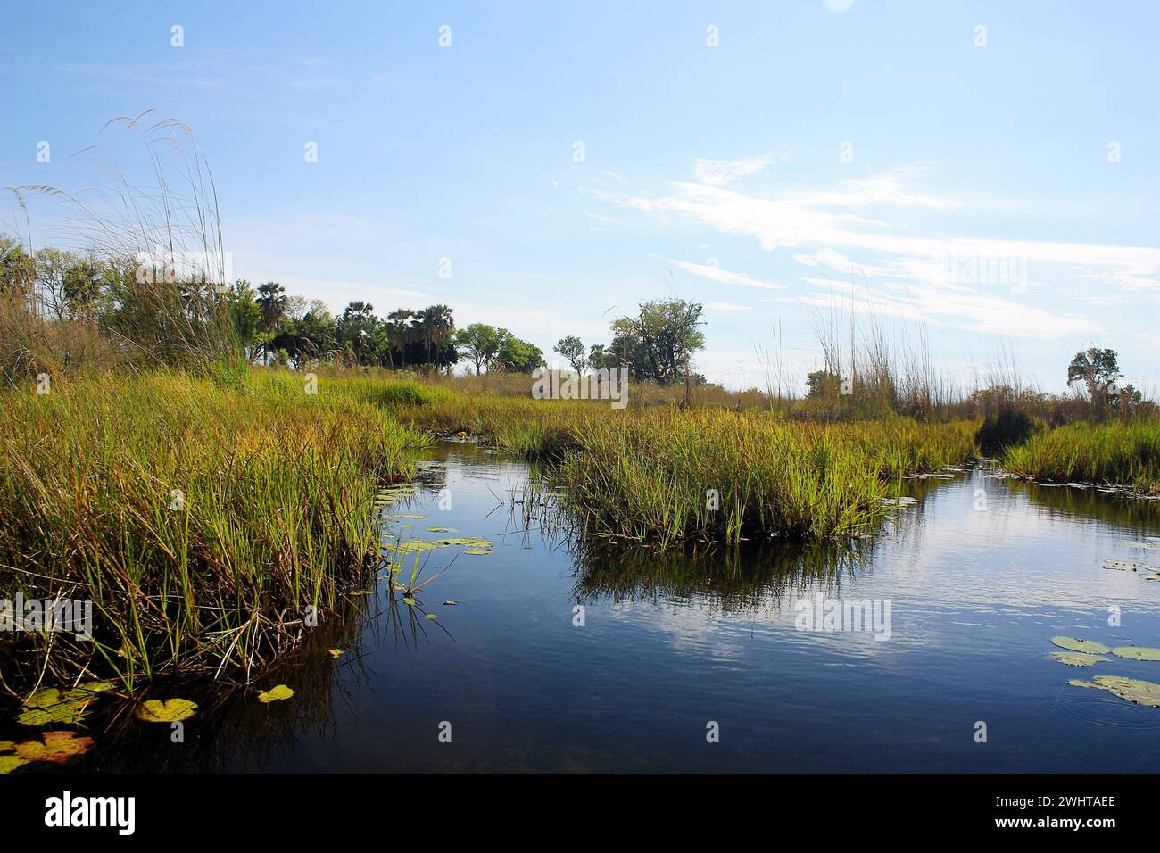 Okavango wetland expedition hi-res stock photography and images - Alamy