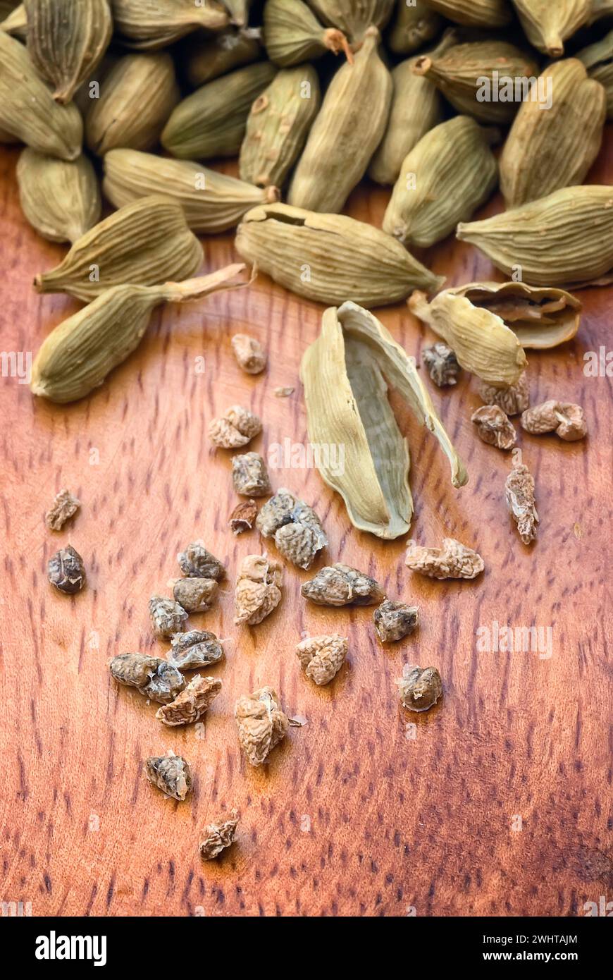 Cardamom pods (Elettaria cardamomum), Zingiberaceae. Aromatic spice ...