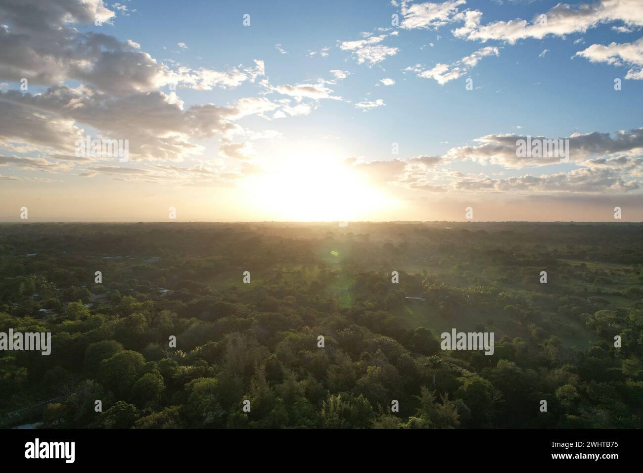 Aerial view agricultural land jungle hi-res stock photography and ...