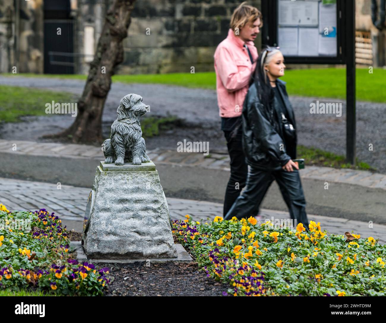 Greyfriars bobby statue hi-res stock photography and images - Alamy