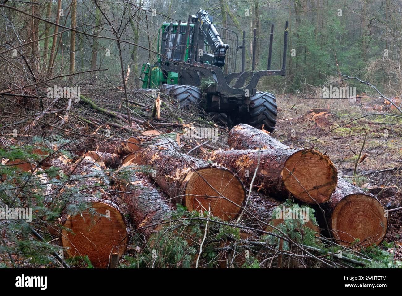Machine sawn wood hi-res stock photography and images - Alamy