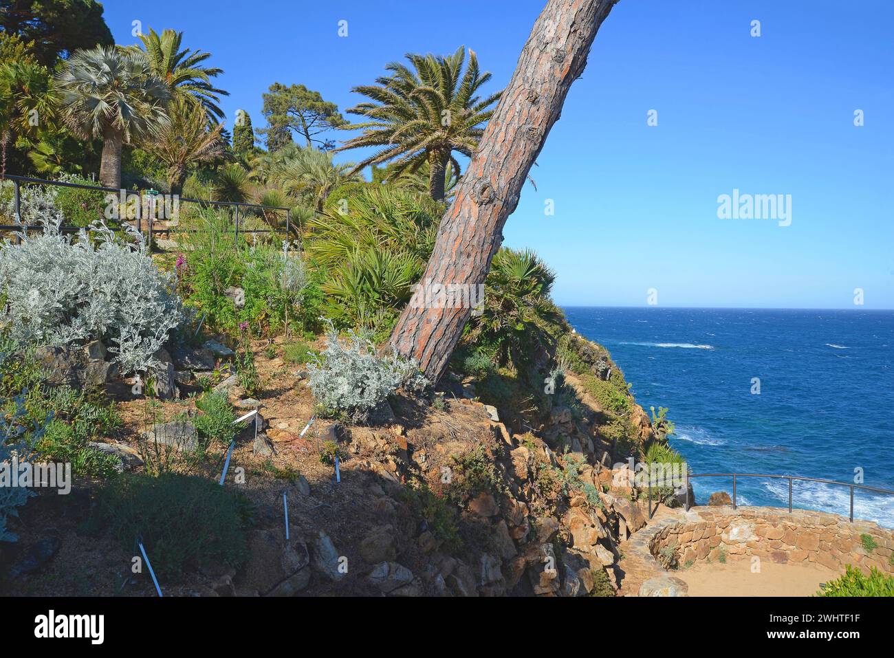 Marimurtra, Botanic Garden, Costa Brava, Spain Stock Photo - Alamy
