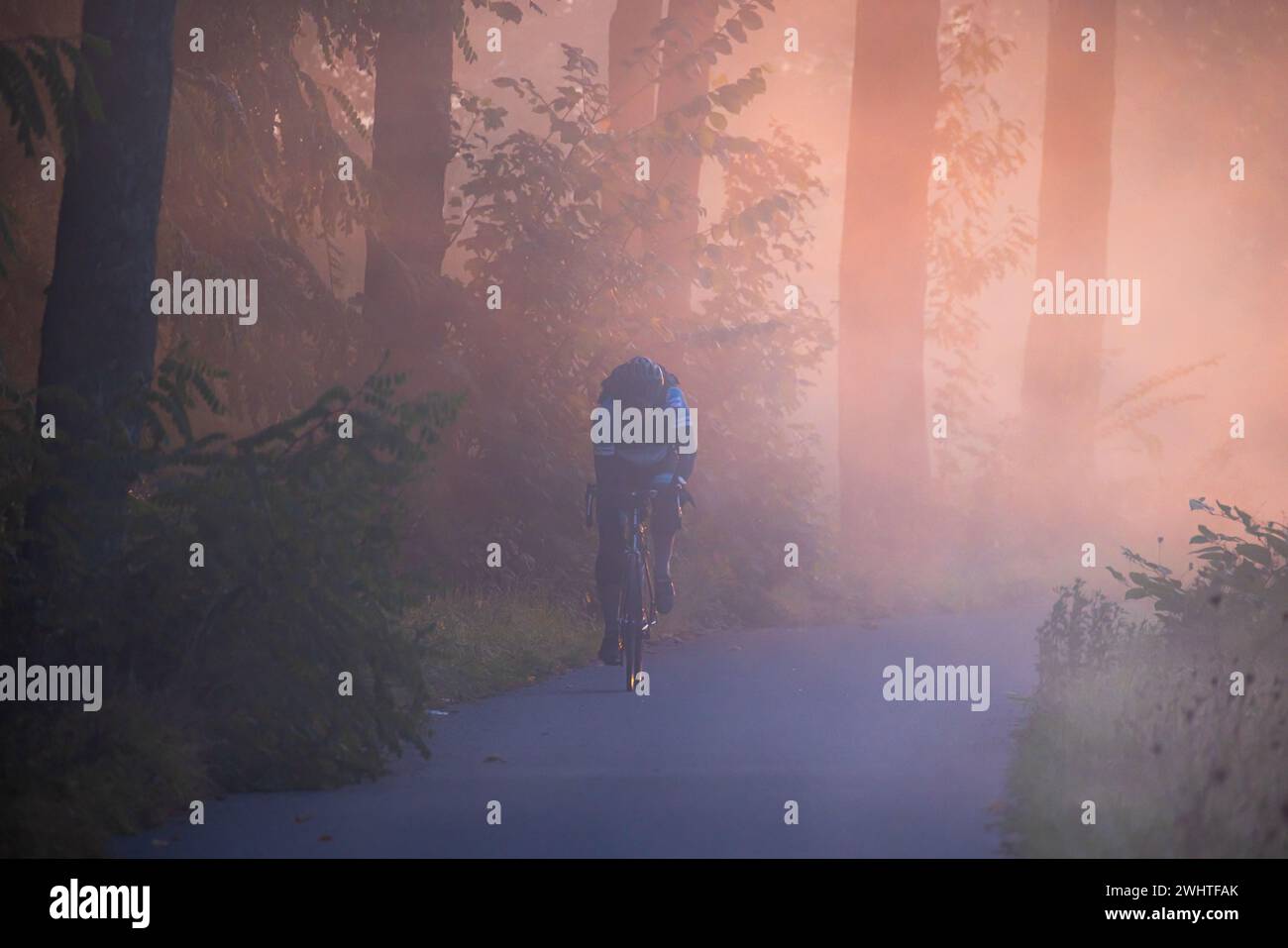 Morning Ride: Misty Countryside Adventure Stock Photo - Alamy