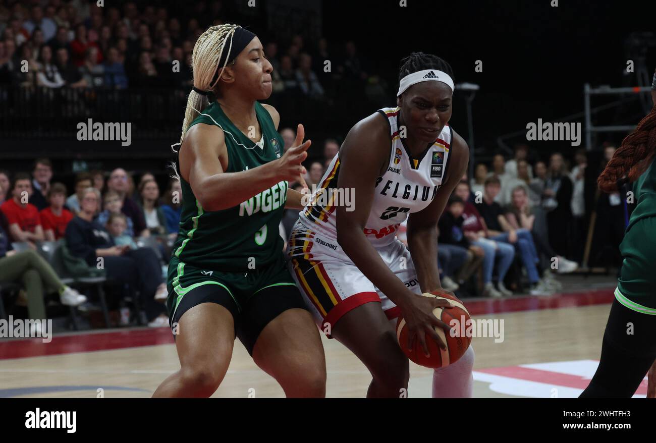 Pallas cats hi-res stock photography and images - Alamy