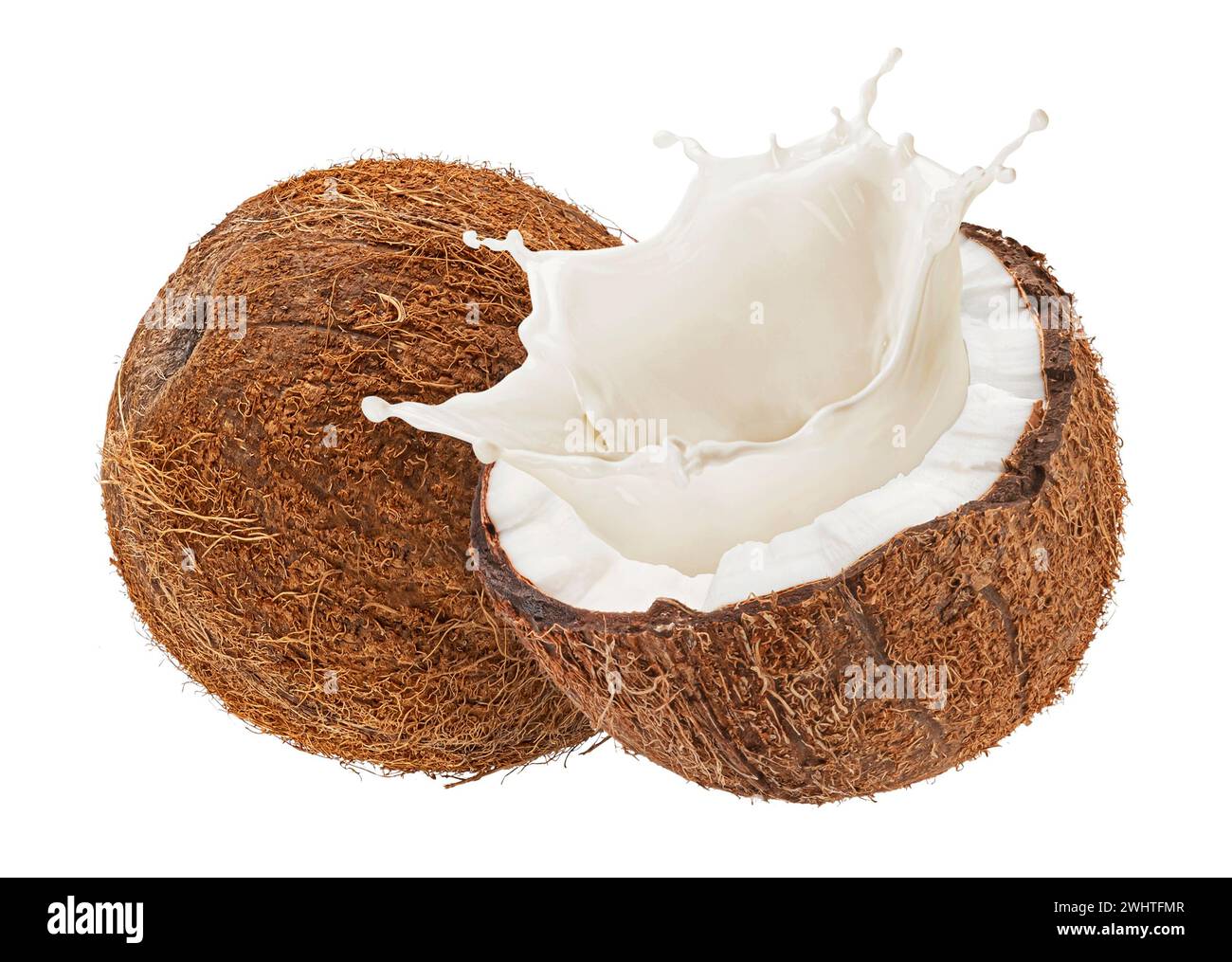 Coconut milk splash isolated on white background Stock Photo - Alamy