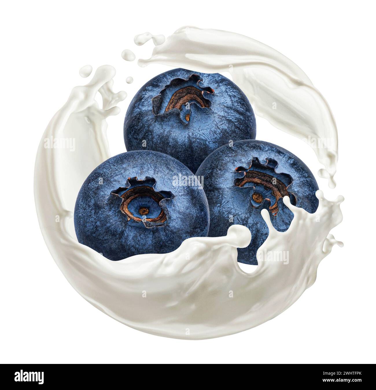 Blueberry with round milk splash isolated on white background Stock ...