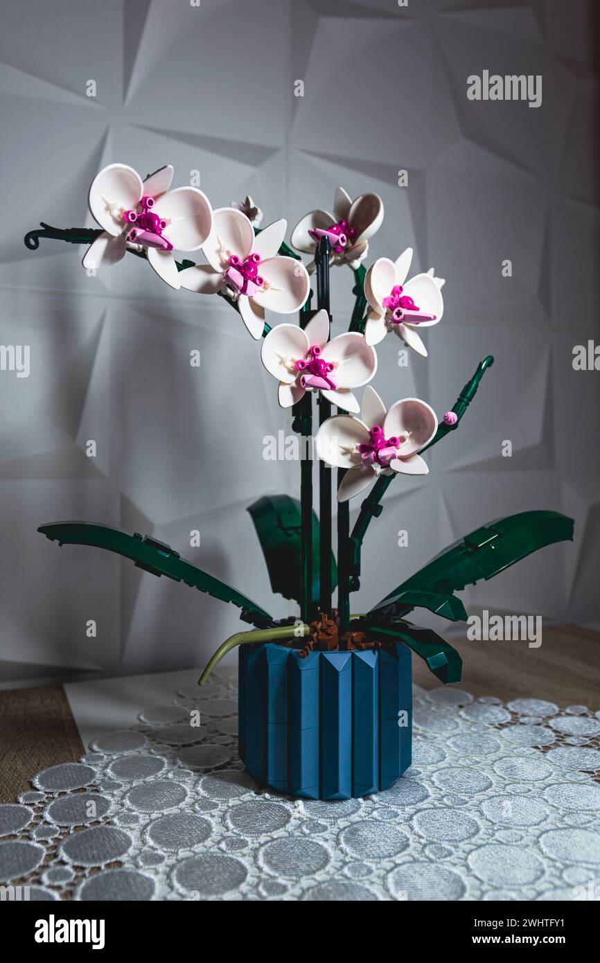 Lego orchid on the kitchen table in front of a white background, lego ...
