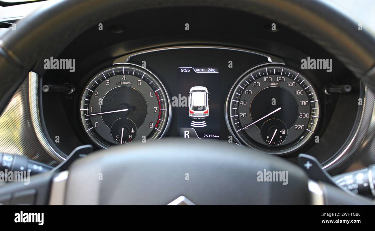 Parking Assistant Icon Between Speedometer And Tachometer On Car ...