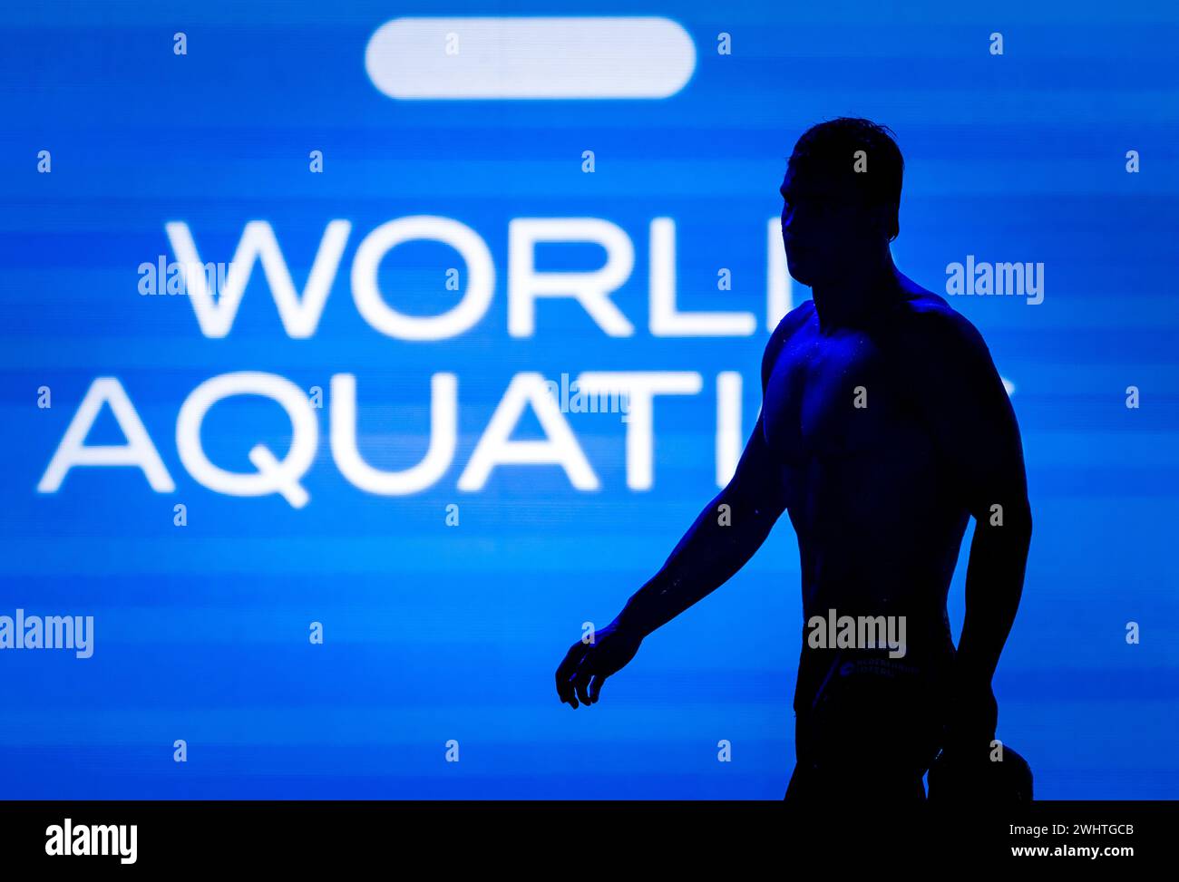 DOHA - Nyls Korstanje after the semi-final 50 butterfly men during the ...