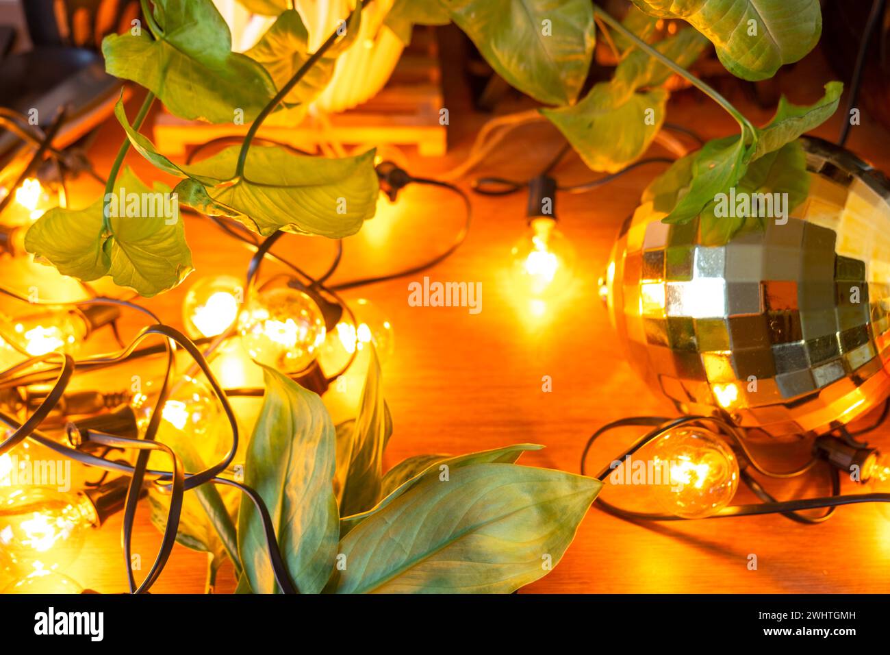 Wooden background with garland lamps and green leaves of a home potted ...