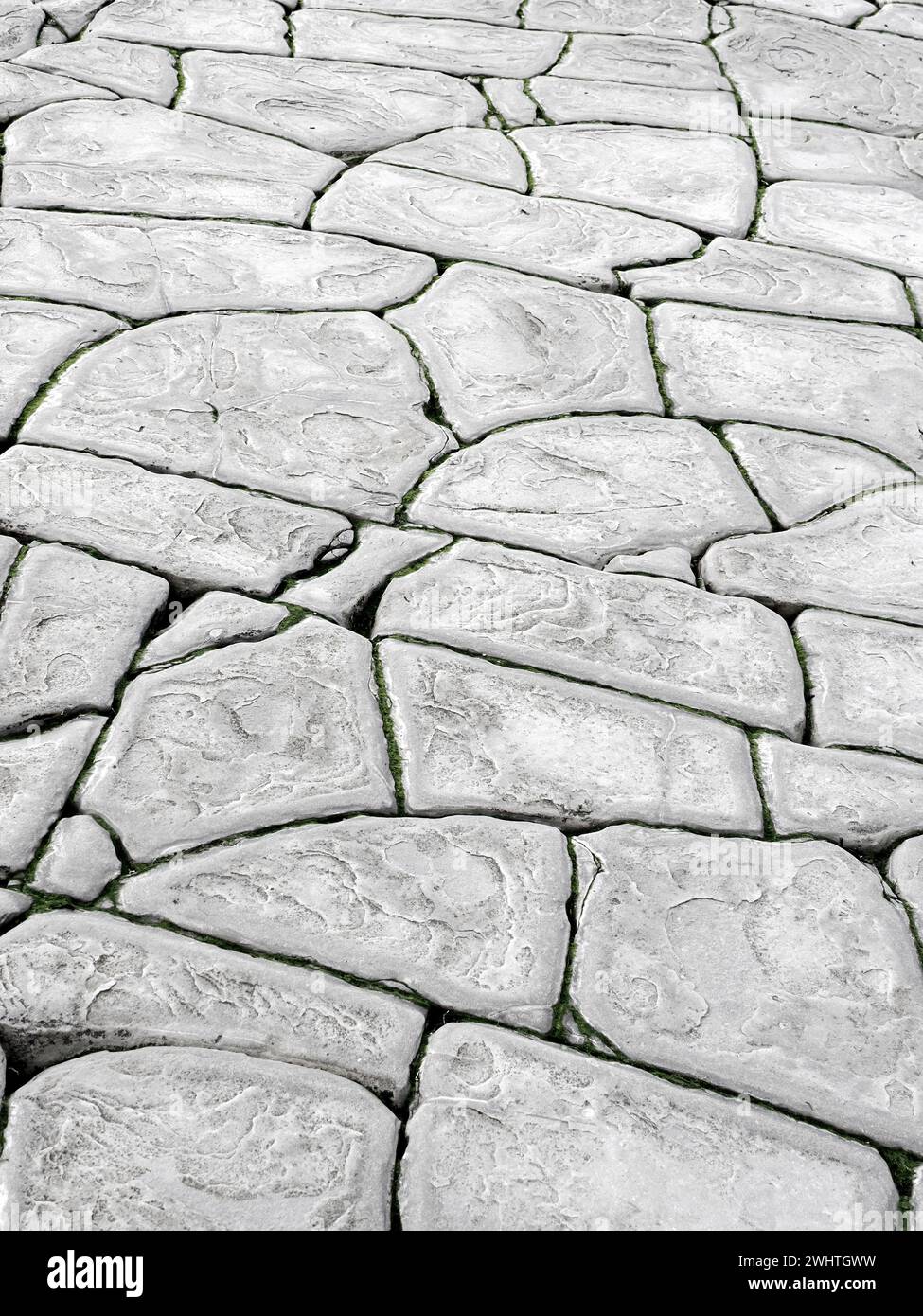 Natural paving in Jurassic Lias limestone beds eroded by wave action on ...