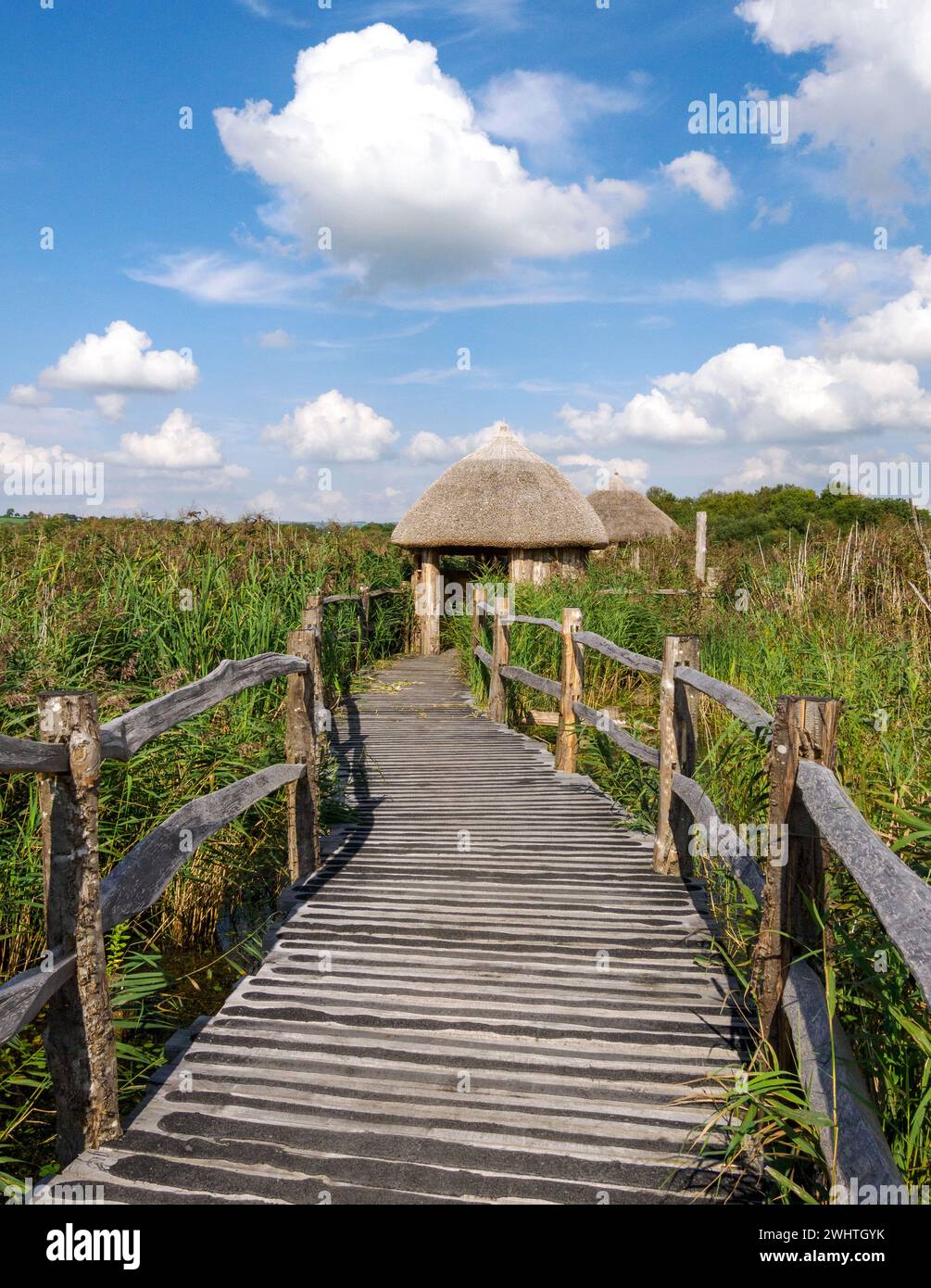 Wetlands observation platform hi-res stock photography and images - Alamy
