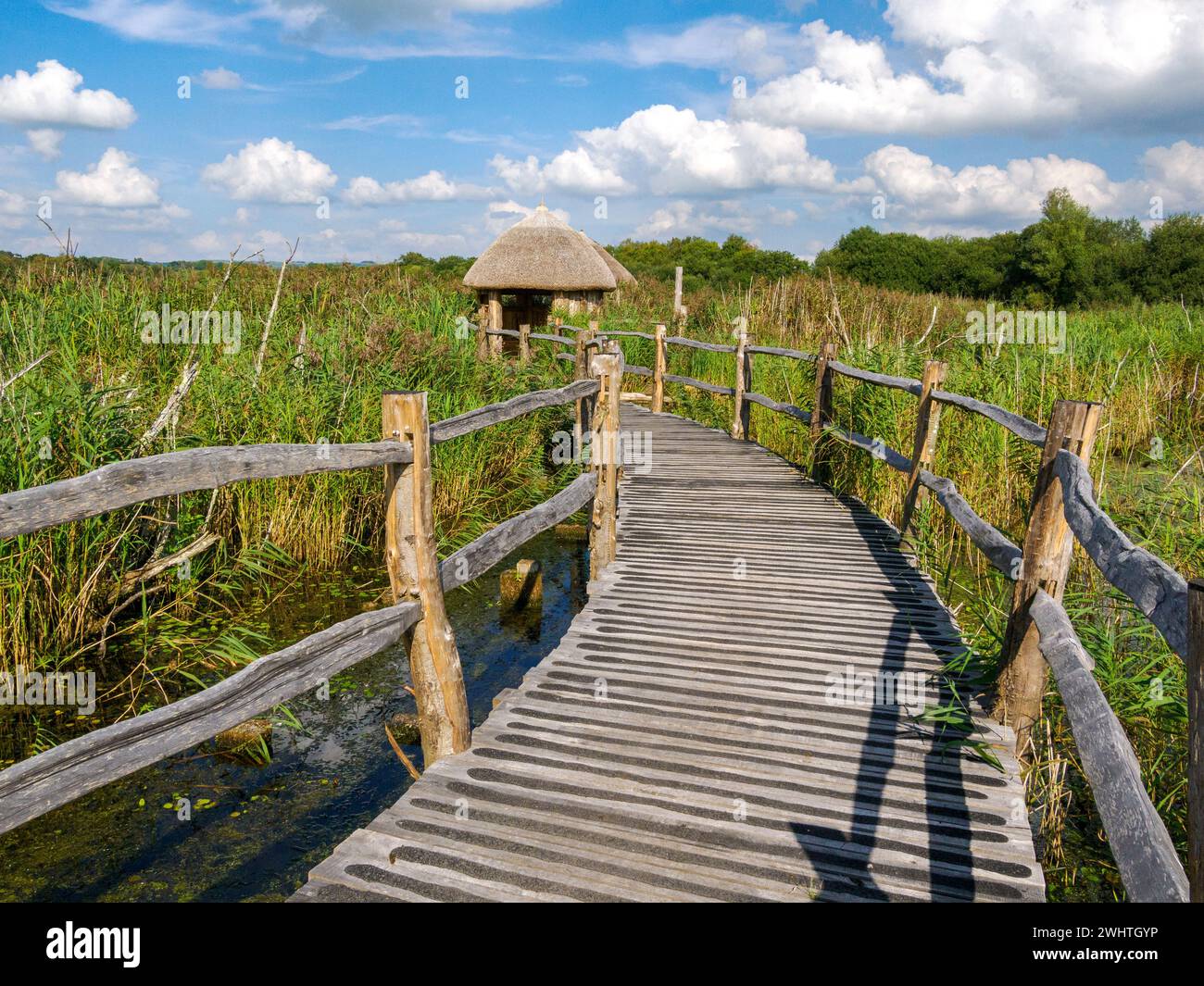 Wooden walkway and thatched viewing platforms on the Somerset Levels at ...
