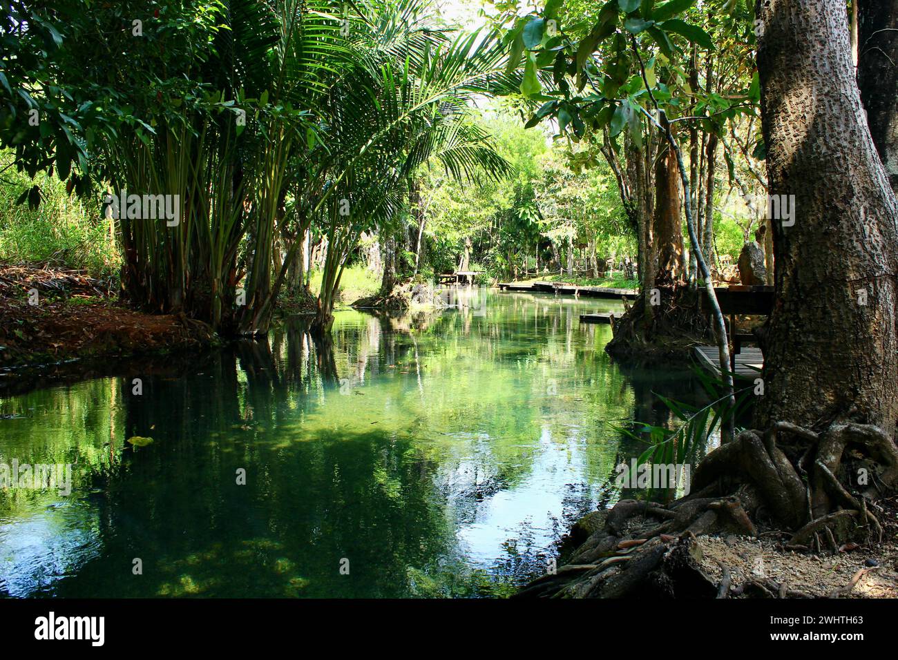 Natural fresh water pools with untouched rainforest, Klong Srakaew ...
