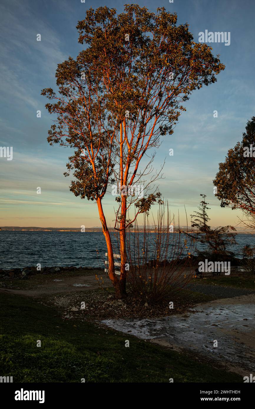 Possession beach waterfront park hi-res stock photography and images ...