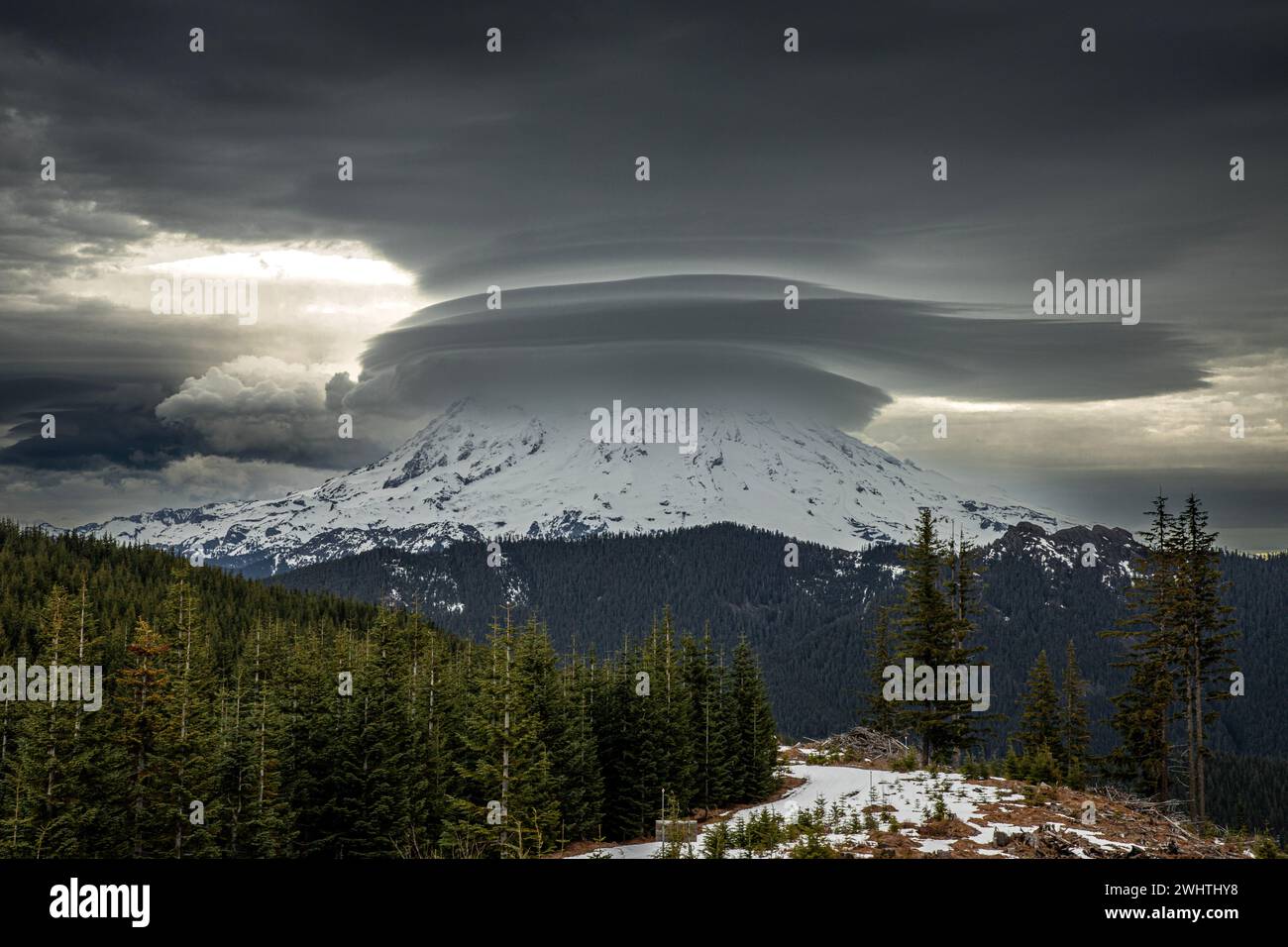 WA25048-00...WASHINGTON - Cloud caps on Mount Rainier viewed from the Mount Tahoma Ski Trails ...