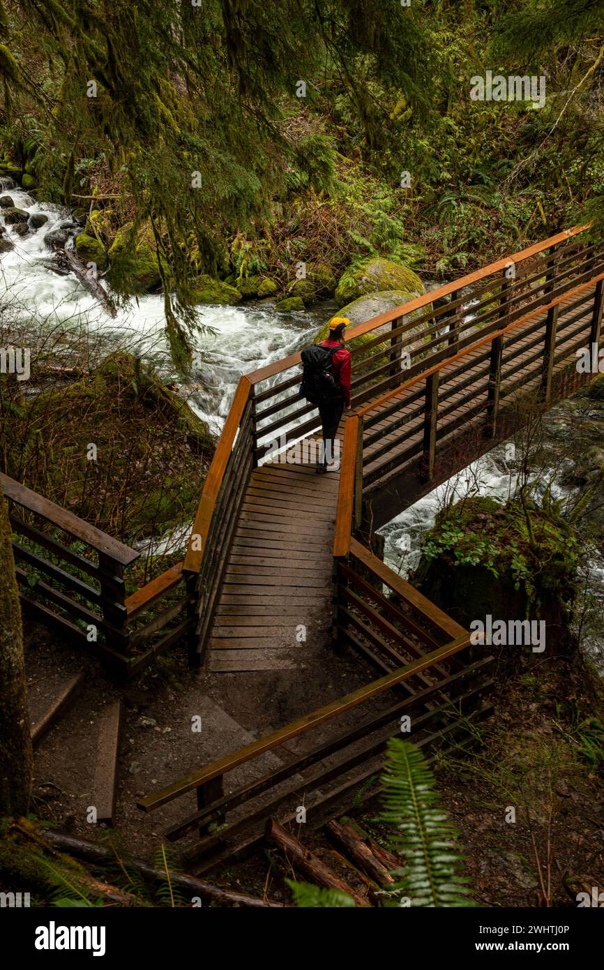 WA025052-00...WASHINGTON - Hiker crossing a sturdy bridge on the Woody ...